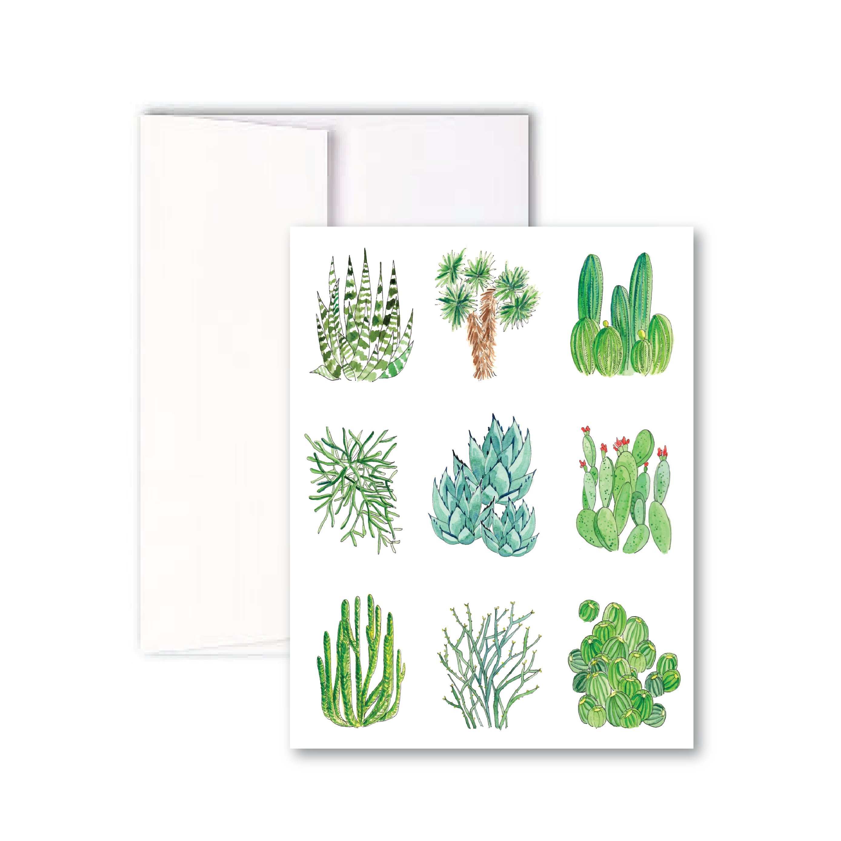 Cactus Collage Notecard – Flower and Vine